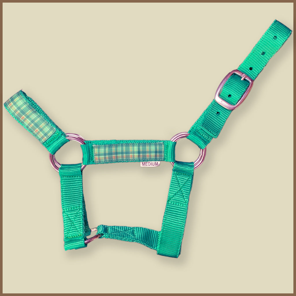 Miniature Donkey Halter - HalterUp