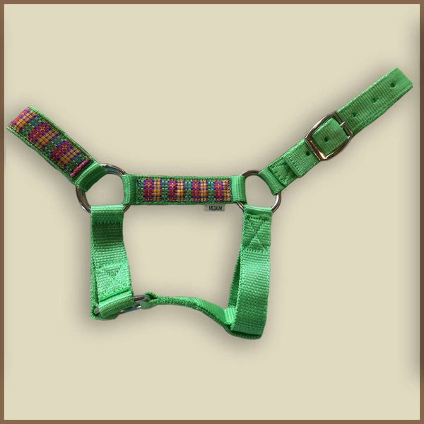 Miniature Donkey Halter - HalterUp