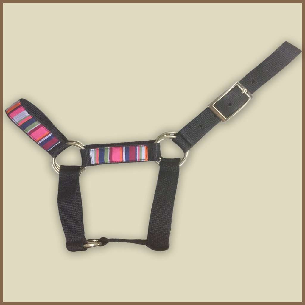 Miniature Donkey Halter - HalterUp