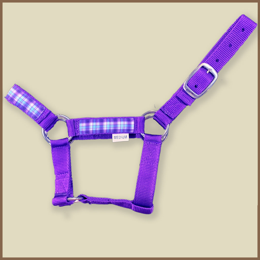 Miniature Donkey Halter - HalterUp
